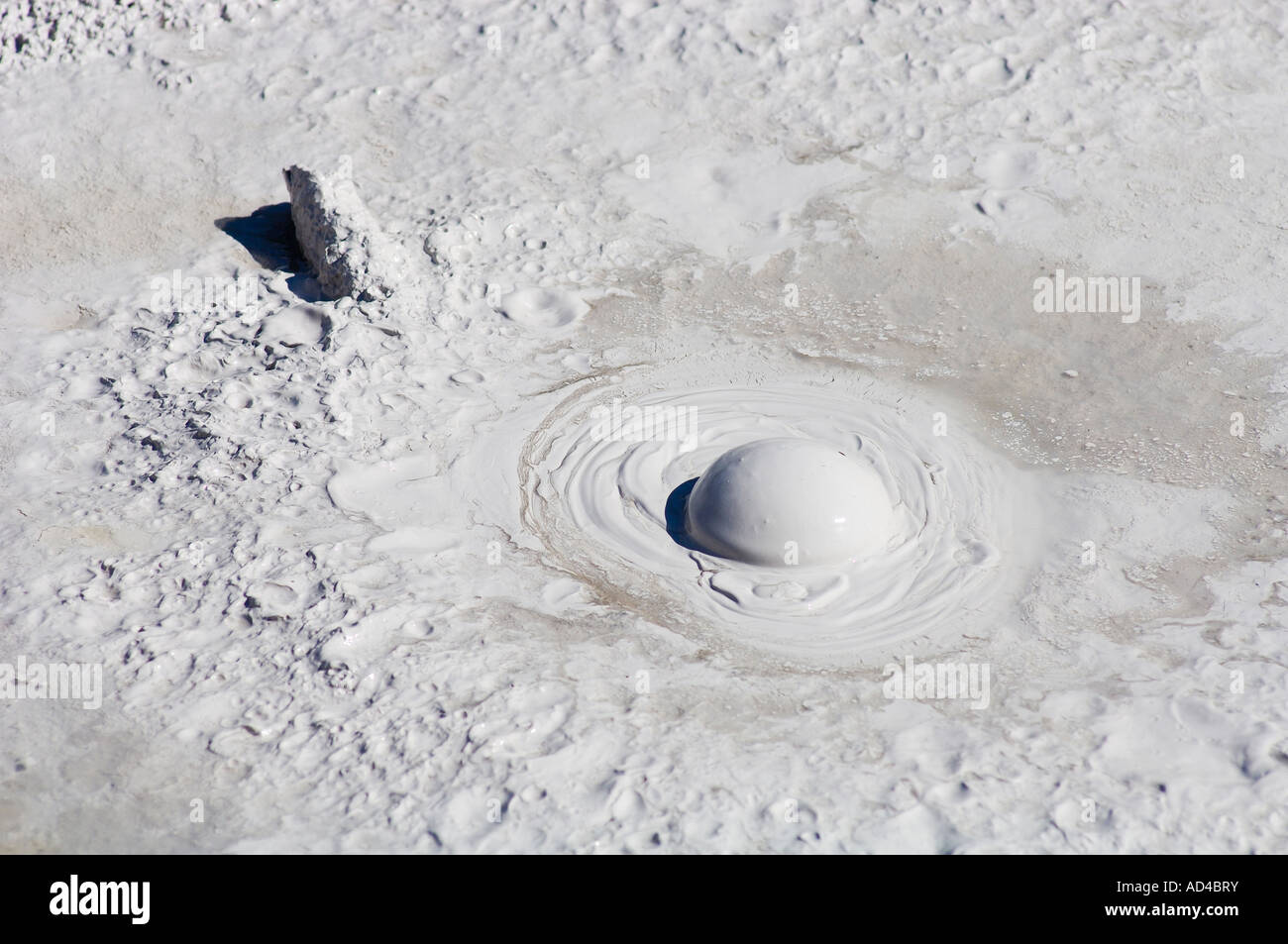 Mud geyser, Yellowstone national park, Wyoming, USA Stock Photo - Alamy