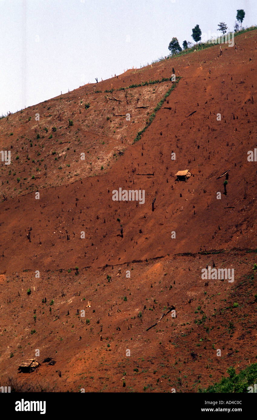 CHINA DEFORESTATION IN THE HILLSIDES SOUTHERN YUNNAN PROVINCE Stock ...