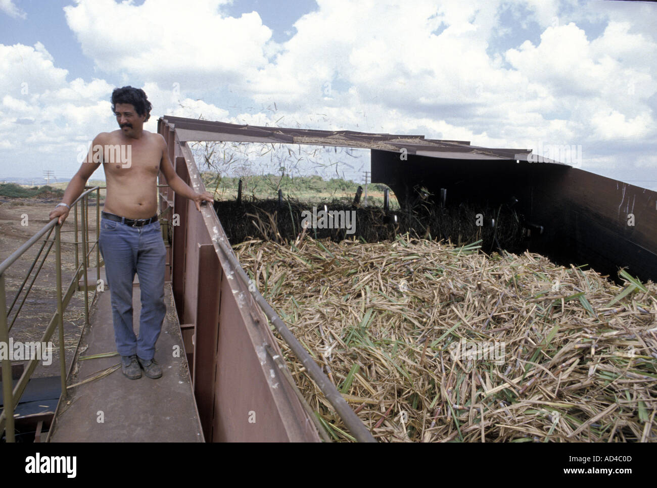 CUBA SUGAR PLANTATION AND PROCESSING PLANT PINAR DEL RIO Stock Photo ...
