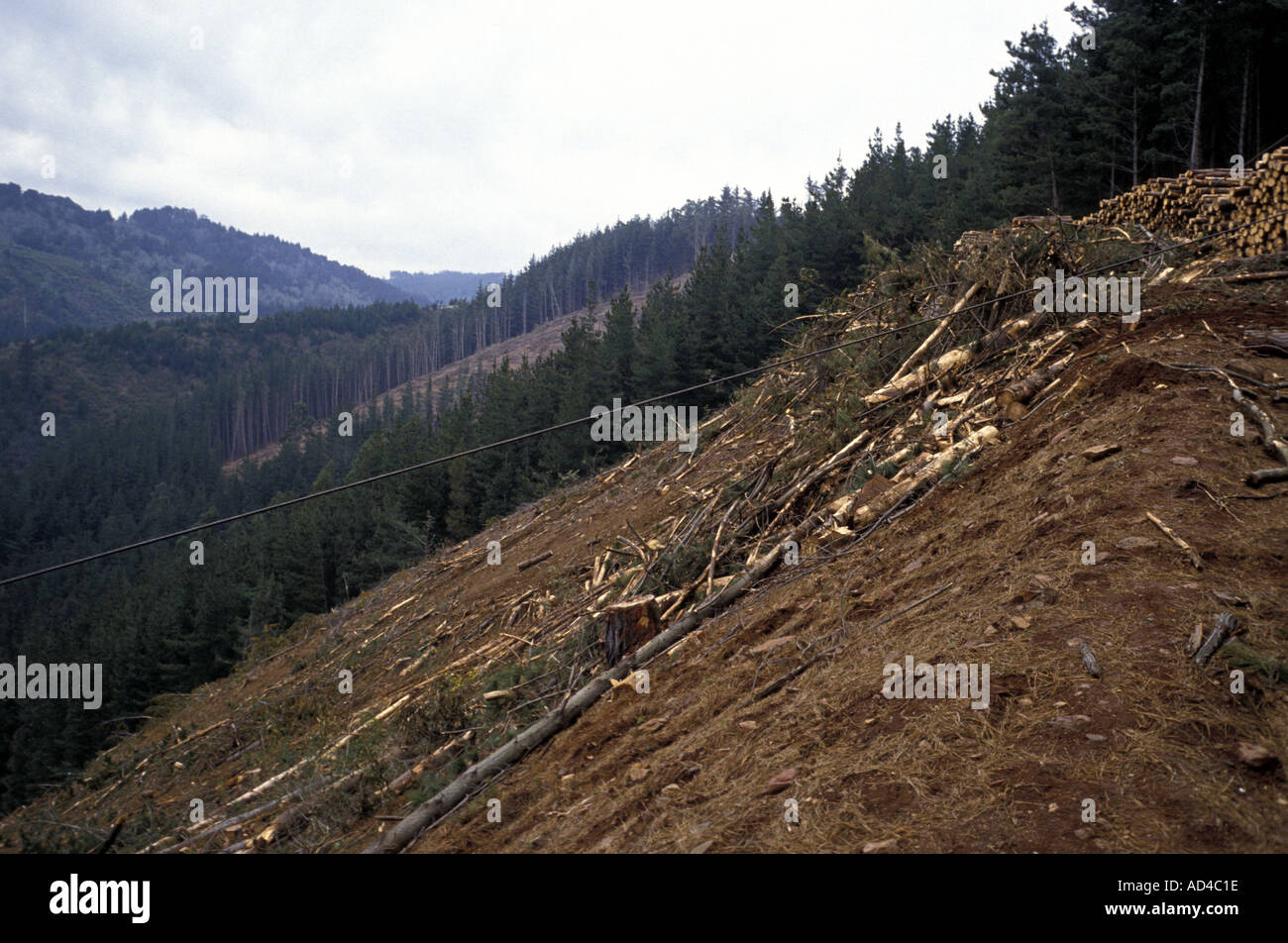 Deforestation High Resolution Stock Photography and Images - Alamy