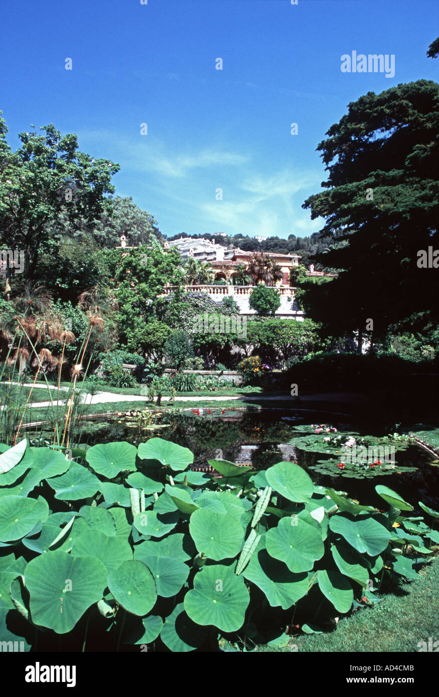 The Lily Pond below the Villa at the Val Rahmeh Gardens Menton Stock ...