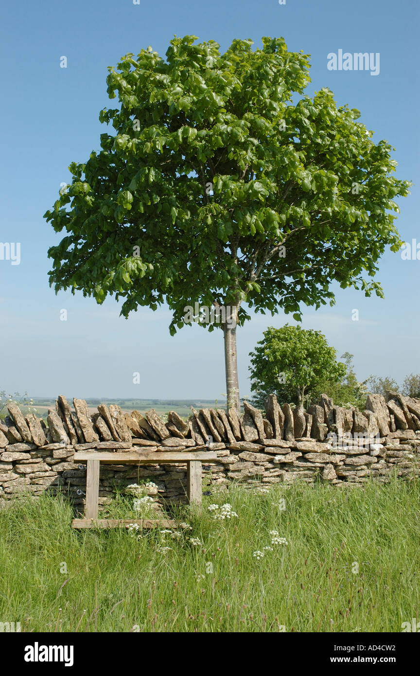 Traditional wooden countryside stile hi-res stock photography and ...