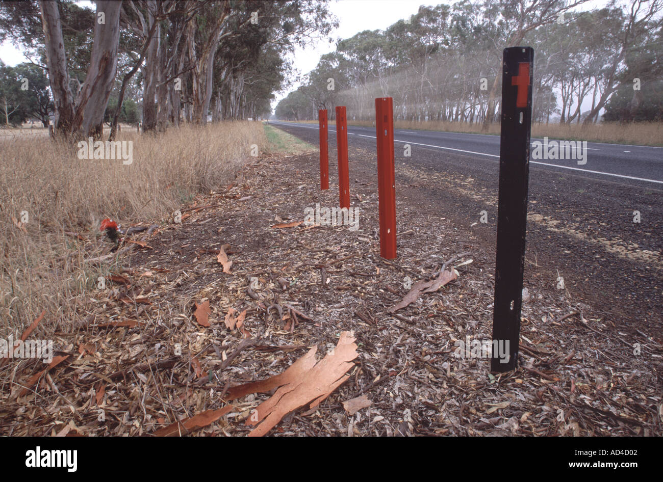 BLACK AND RED POSTS INDICATING DEATH AND SERIOUS INJURY ACCIDENTS ...
