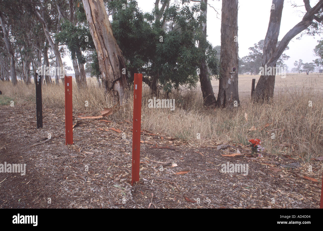 BLACK AND RED POSTS INDICATING DEATH AND SERIOUS INJURY ACCIDENTS ...