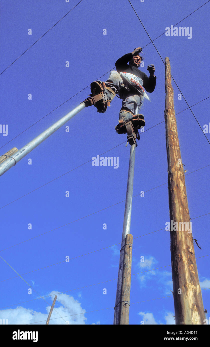 Hop stringing hi-res stock photography and images - Alamy