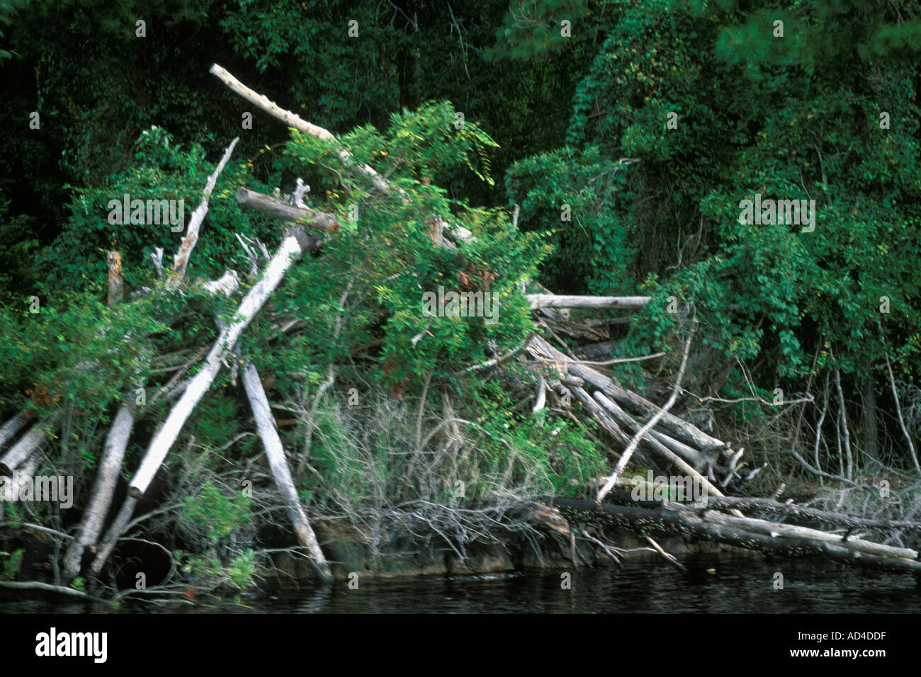 Log jam on river hi-res stock photography and images - Alamy