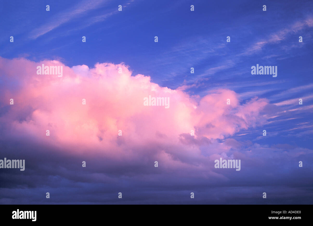Pink clouds evening sky after sunset England UK United Kingdom GB Great ...
