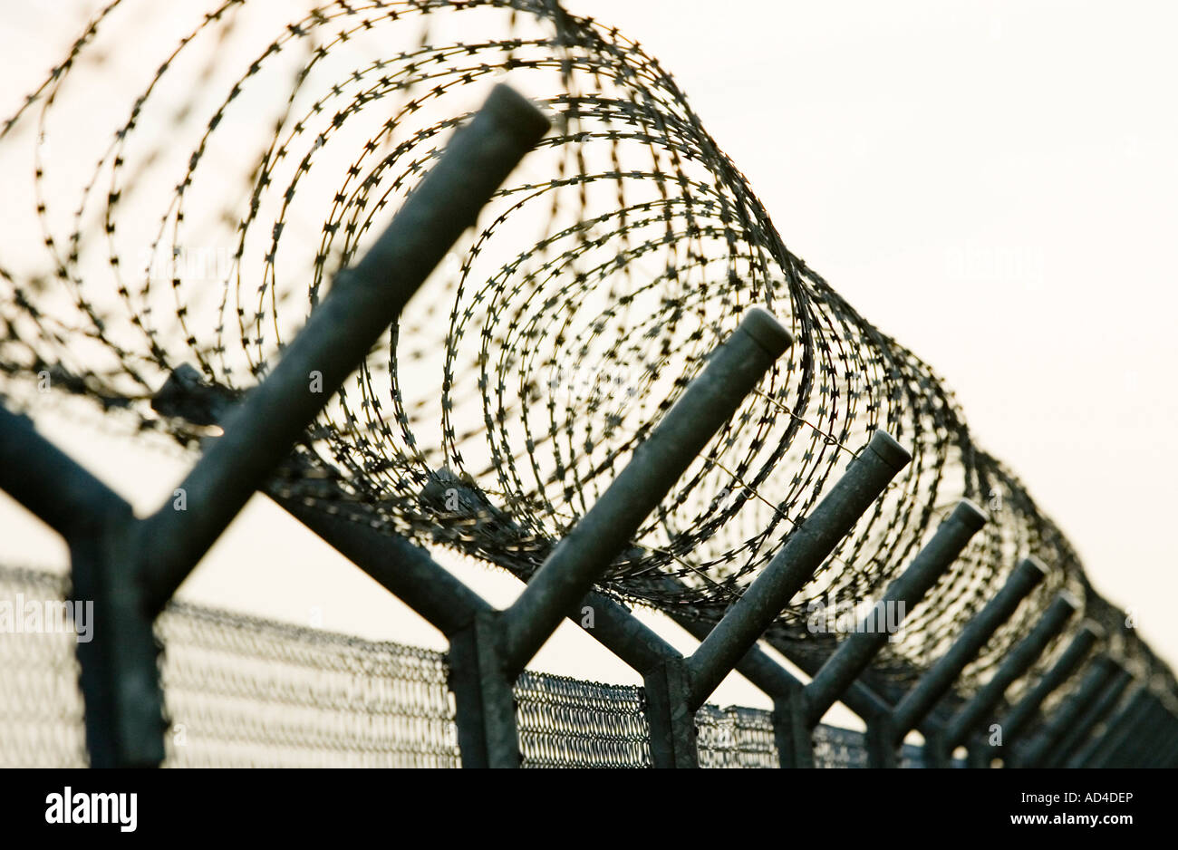 Stacheldraht natodraht hi-res stock photography and images - Alamy