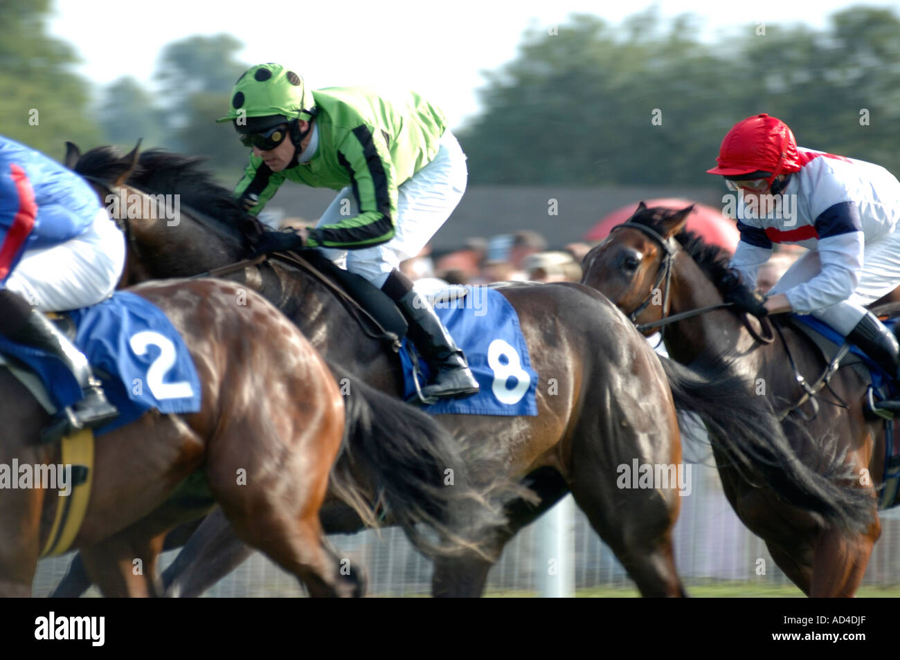 Royal windsor racecourse ad4djf hi-res stock photography and images - Alamy