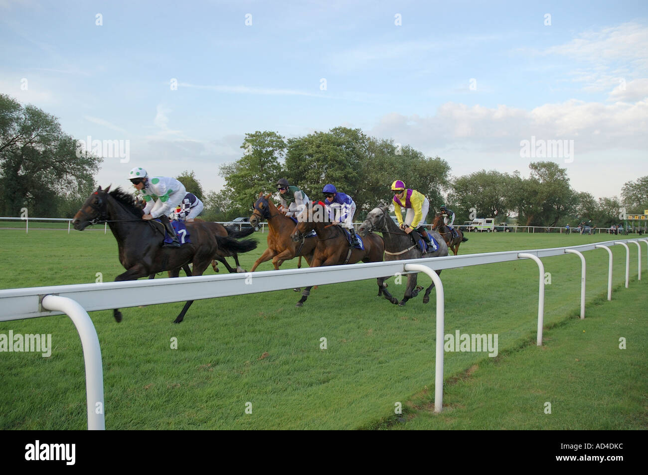 Horse horses racing hi-res stock photography and images - Alamy