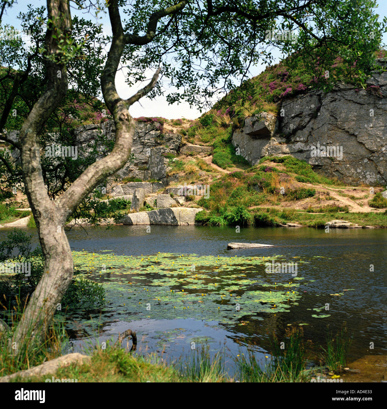 Disused Quarry at Haytor Dartmoor Stock Photo - Alamy
