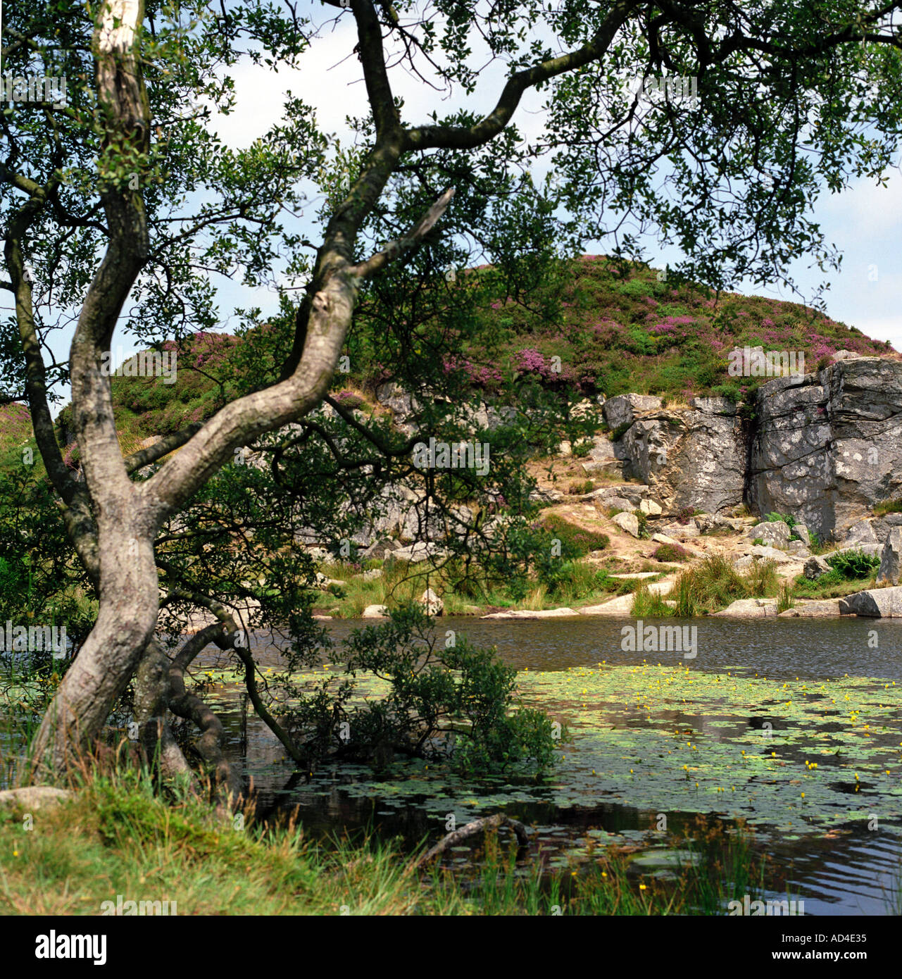 Disused Quarry at Haytor Dartmoor Stock Photo - Alamy