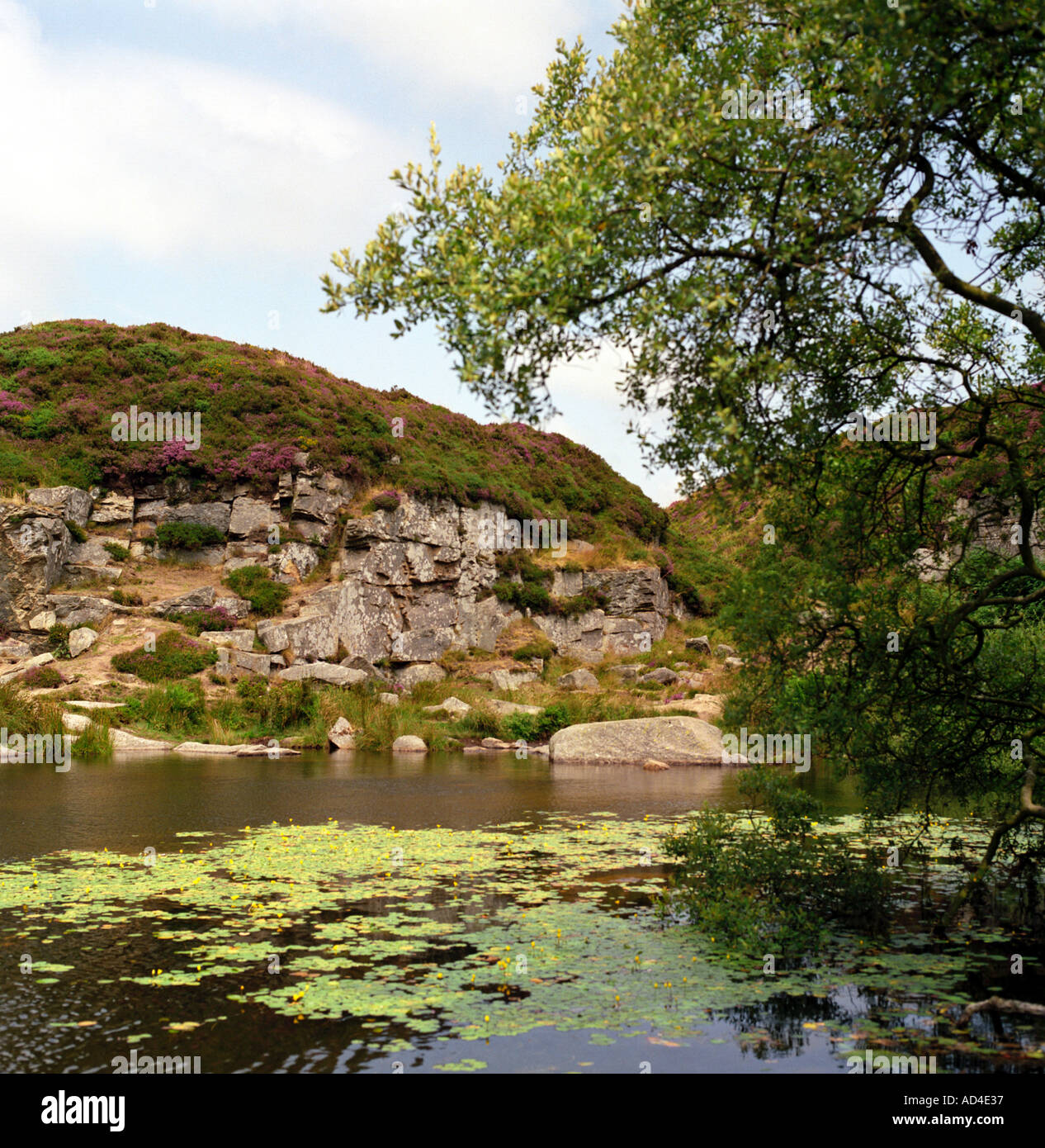 Disused Quarry at Haytor Dartmoor Stock Photo - Alamy