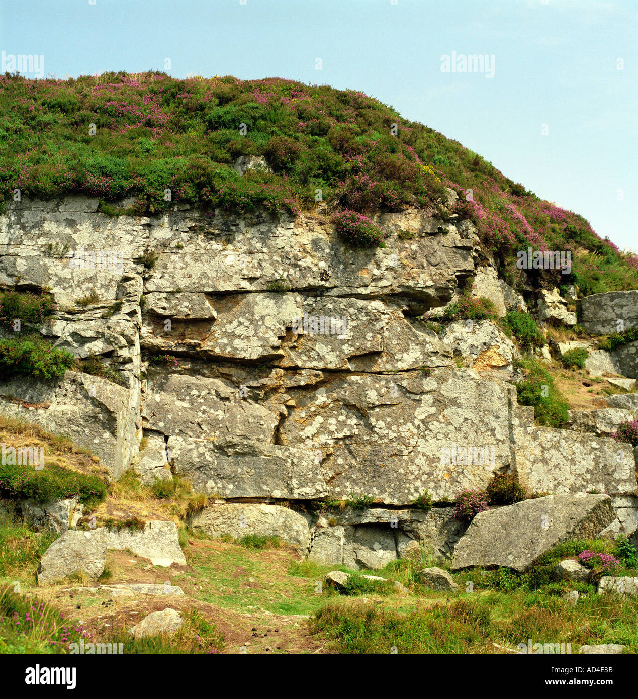 Disused Quarry at Haytor Dartmoor Stock Photo - Alamy