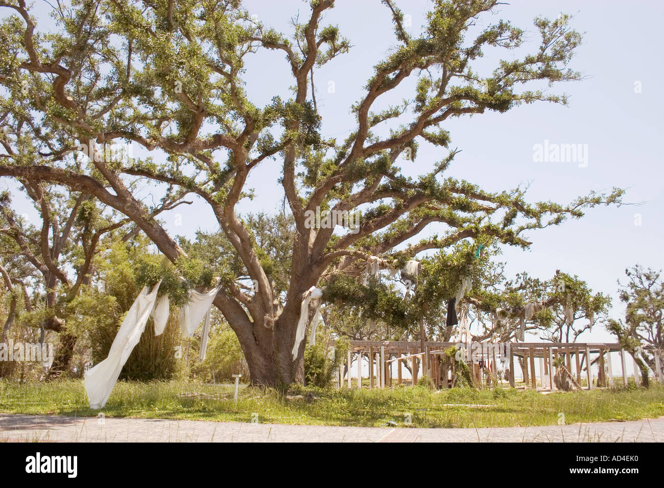 Structural beams hi-res stock photography and images - Alamy