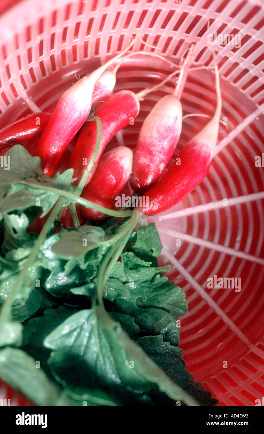 One french breakfast radish hi-res stock photography and images - Alamy