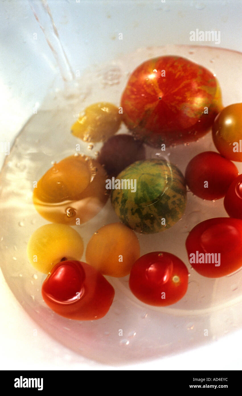 Tomatoes washing , Solanum lycopersicum Stock Photo - Alamy