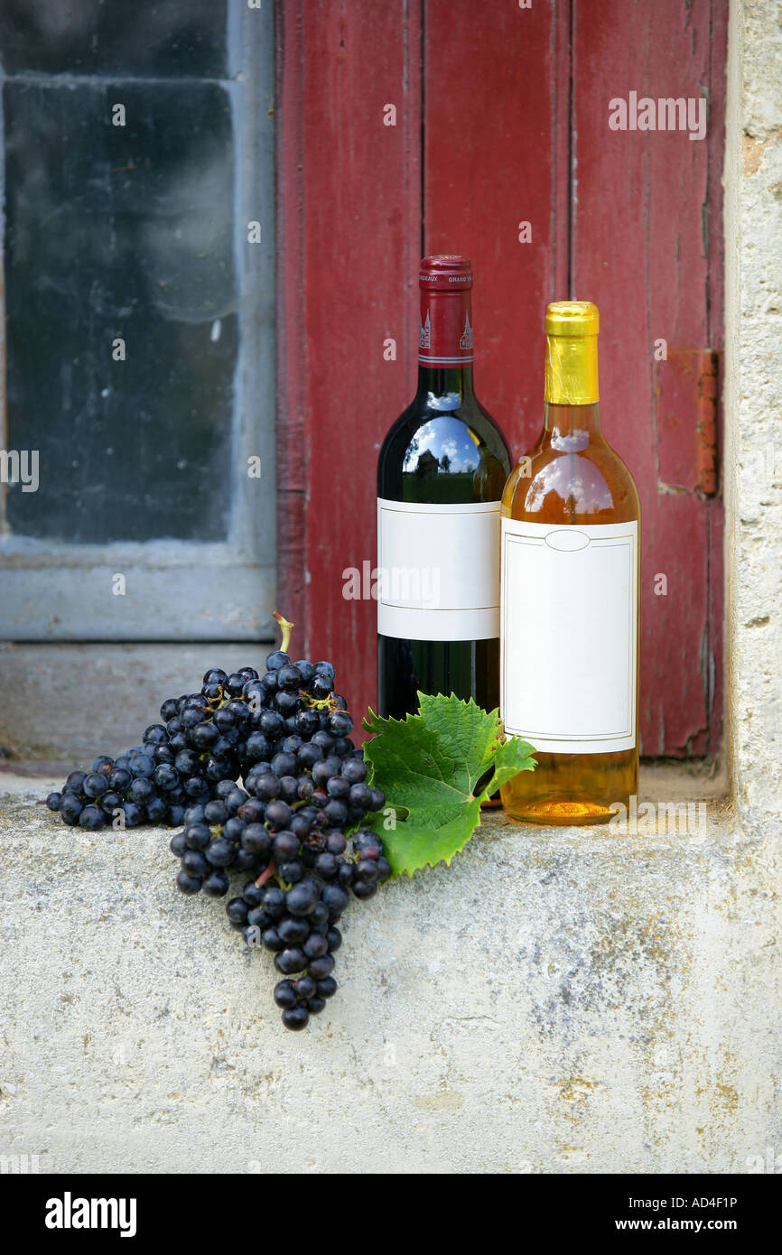 Varieties of wine Stock Photo - Alamy