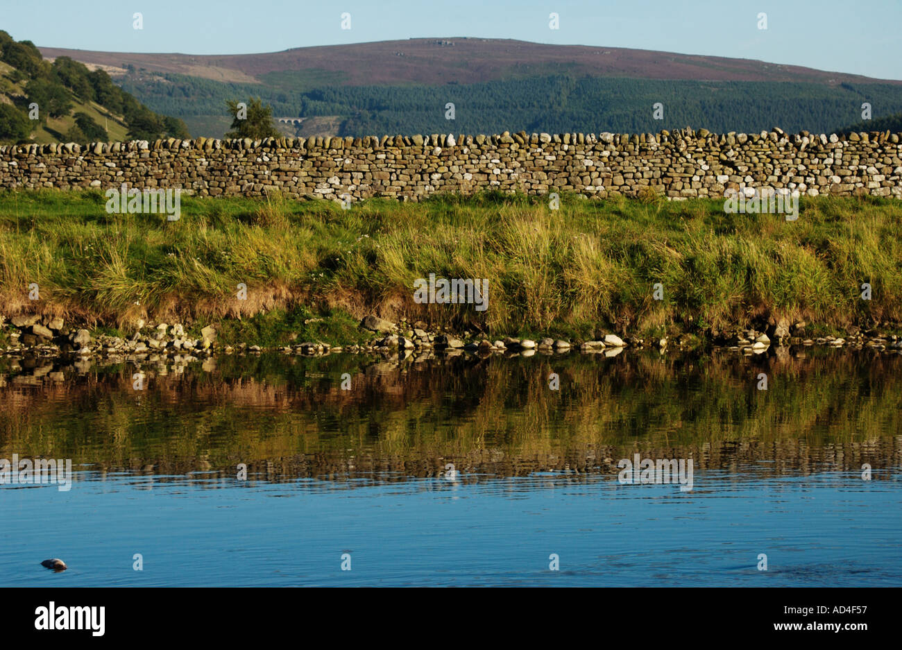 Reflections of a Yorkshire Dates stone wall in the river Wharfe Stock ...