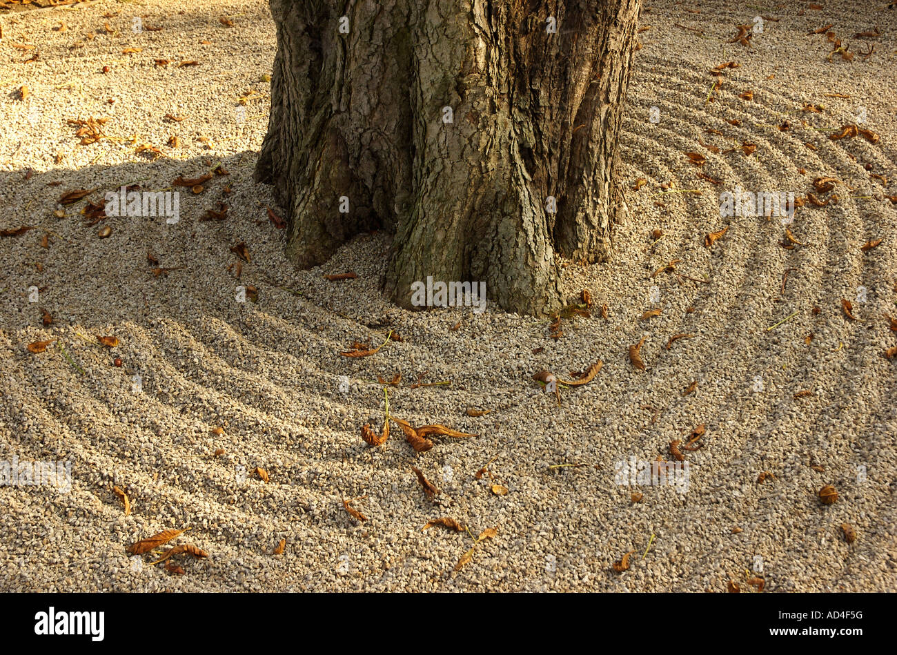 Patterns around a tree trunk in a rock garden Stock Photo - Alamy