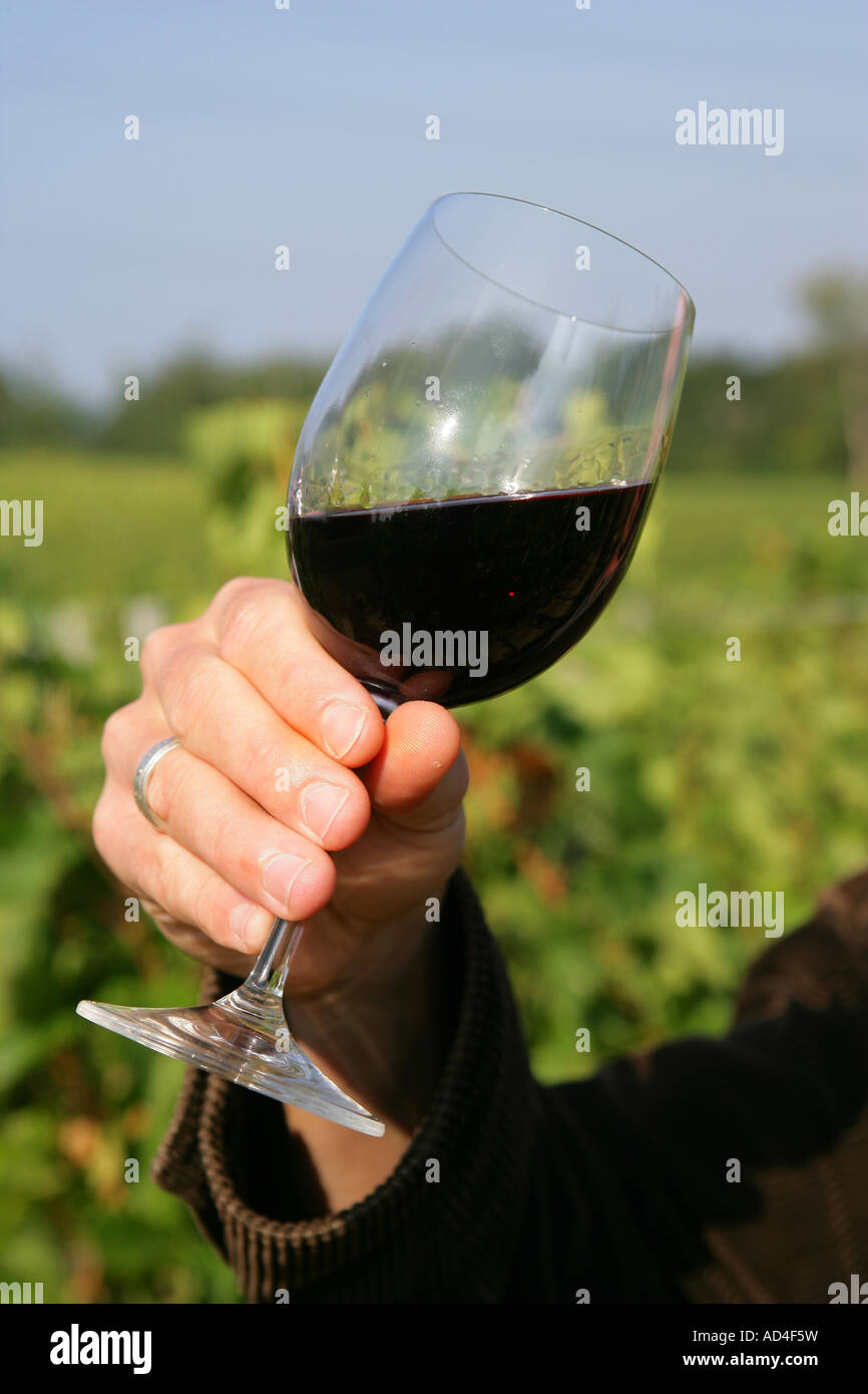 Hand nice plants ground hi-res stock photography and images - Alamy