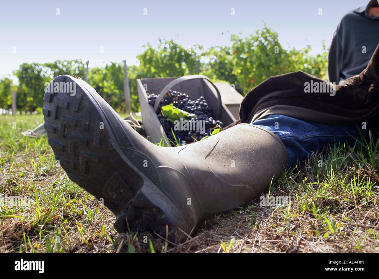Worker resting on the ground Stock Photo - Alamy