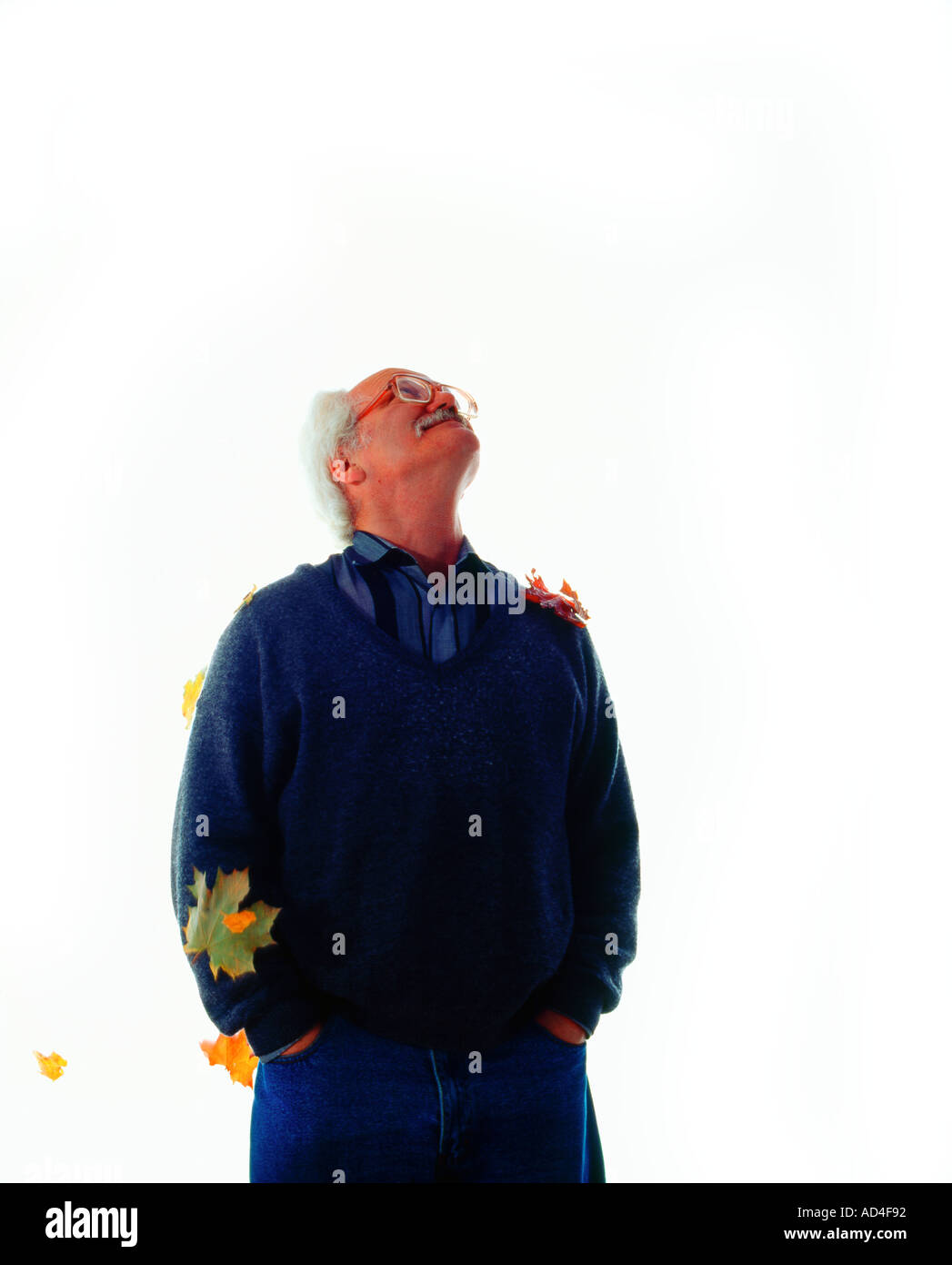 Old man looking upwards leves falling Stock Photo - Alamy