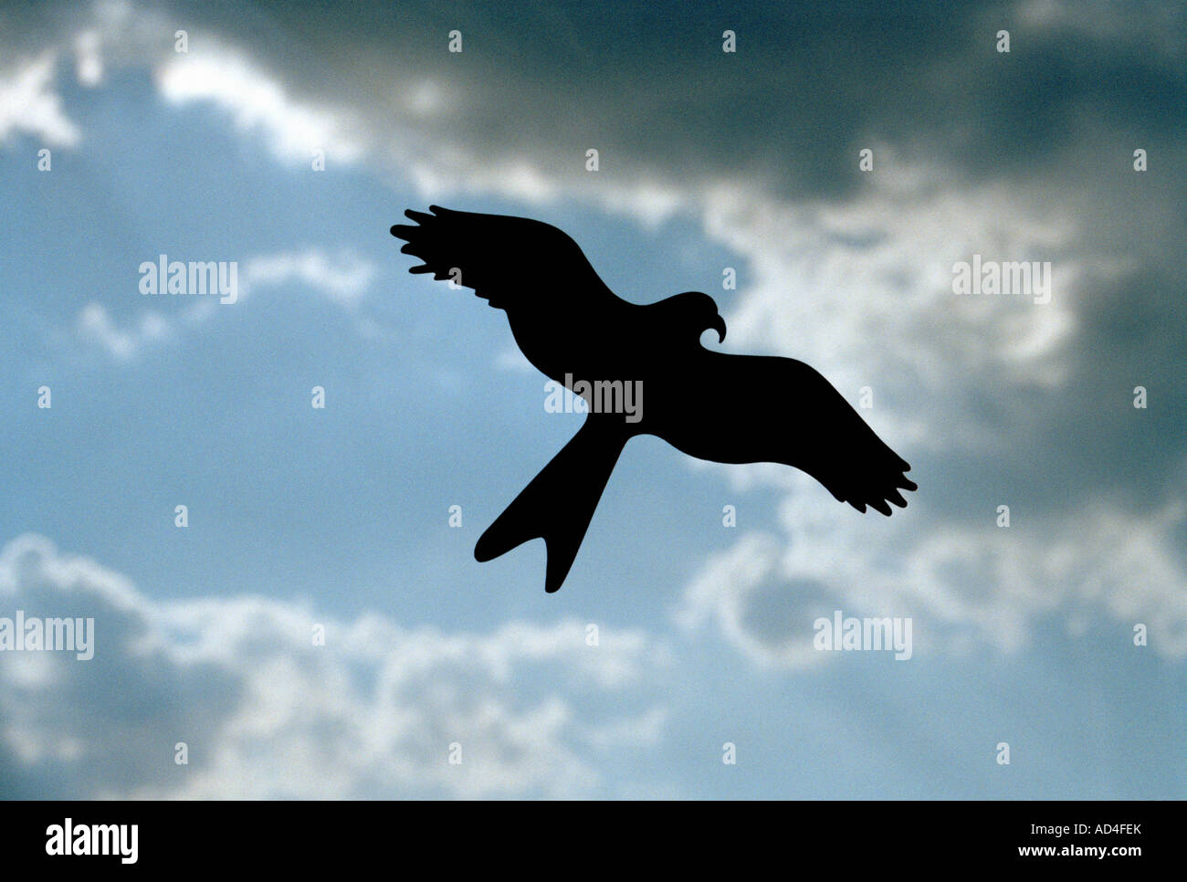 Flying at a window hi-res stock photography and images - Alamy