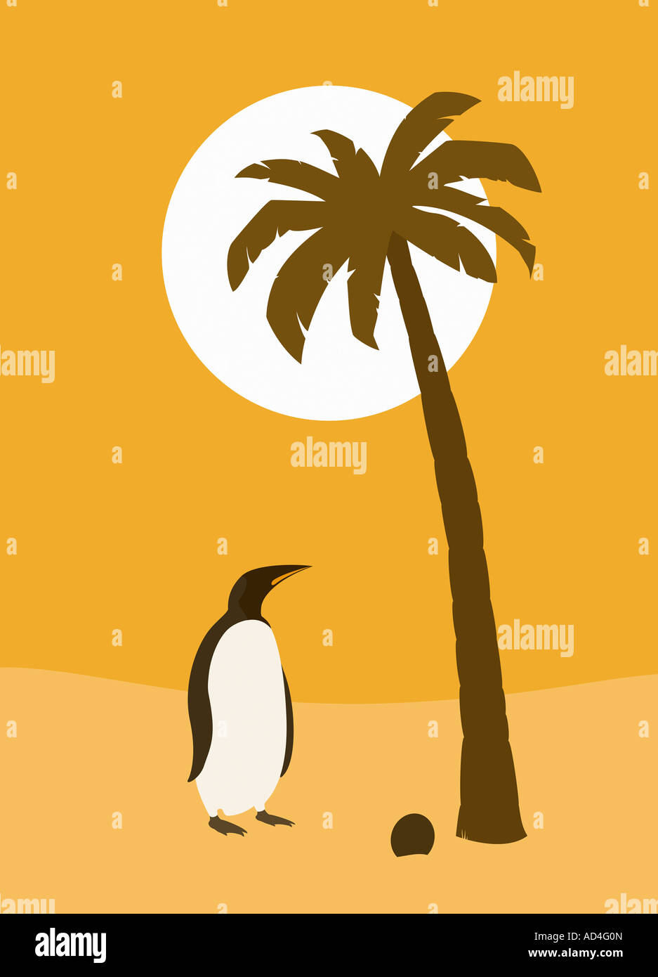 A confused penguin standing under a palm tree Stock Photo - Alamy