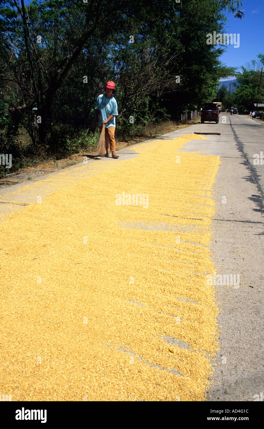 Drying rice on the highway Philippines Stock Photo - Alamy