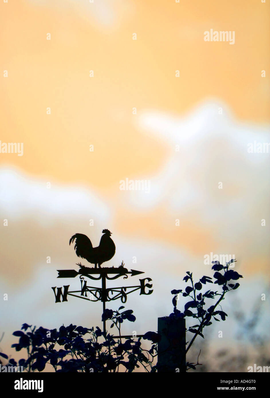 Weather Vein with orange sky Stock Photo - Alamy