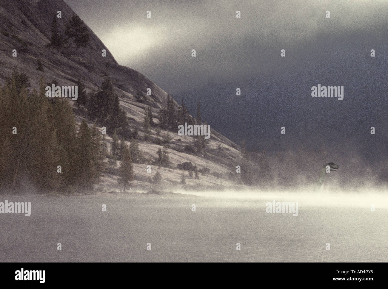 Fake loch ness monster hi-res stock photography and images - Alamy
