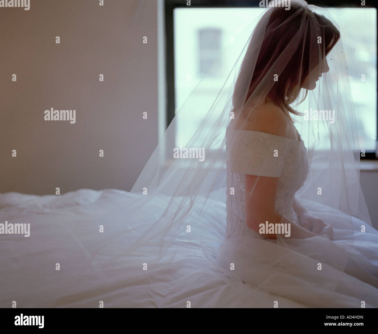 Beautiful Bride On Her Wedding Day High Resolution Stock Photography ...