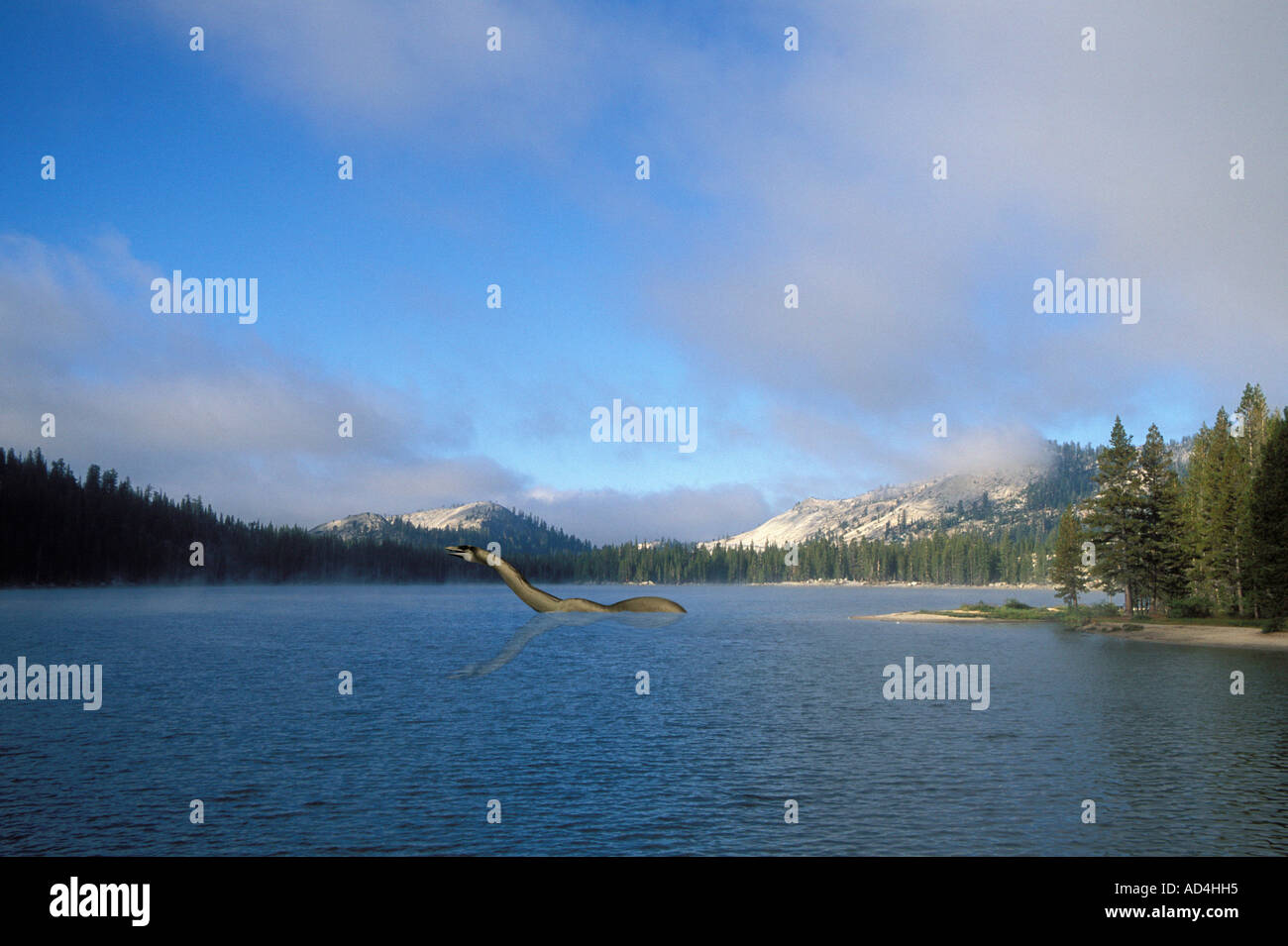 Lake champlain monster hi-res stock photography and images - Alamy