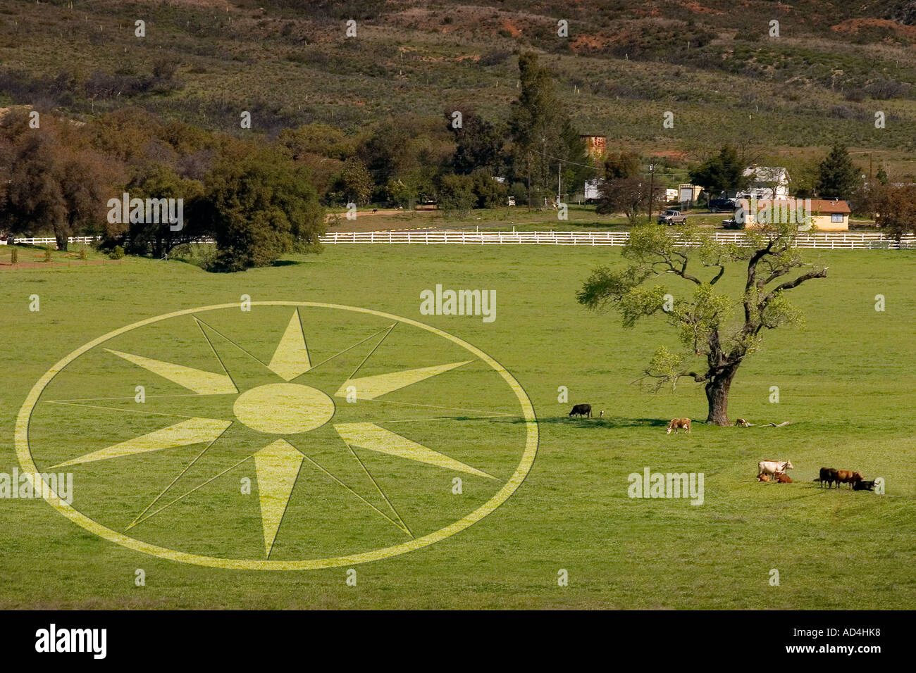 Desert crop circle hi-res stock photography and images - Alamy