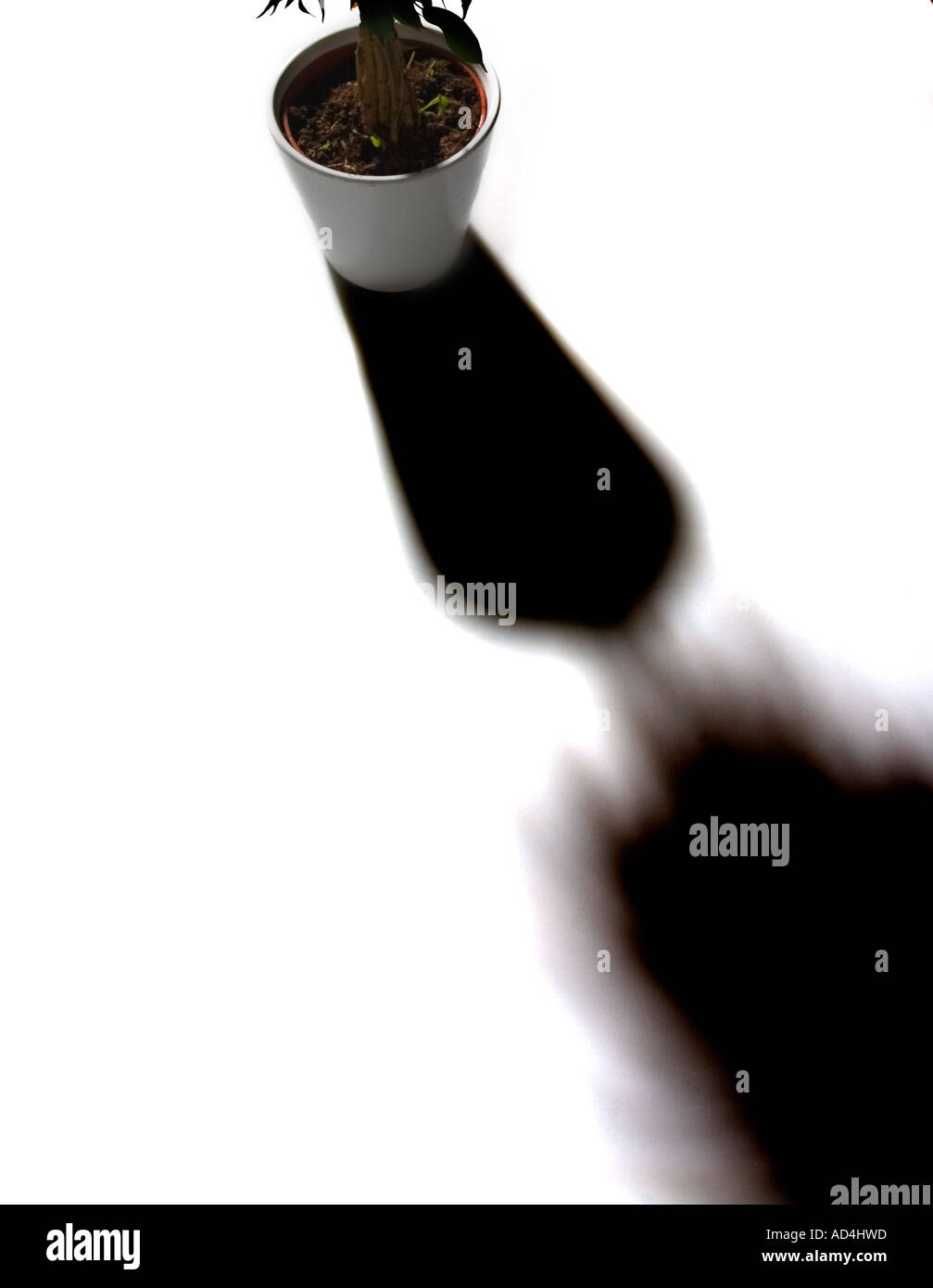 white plant pot with shadow Stock Photo - Alamy