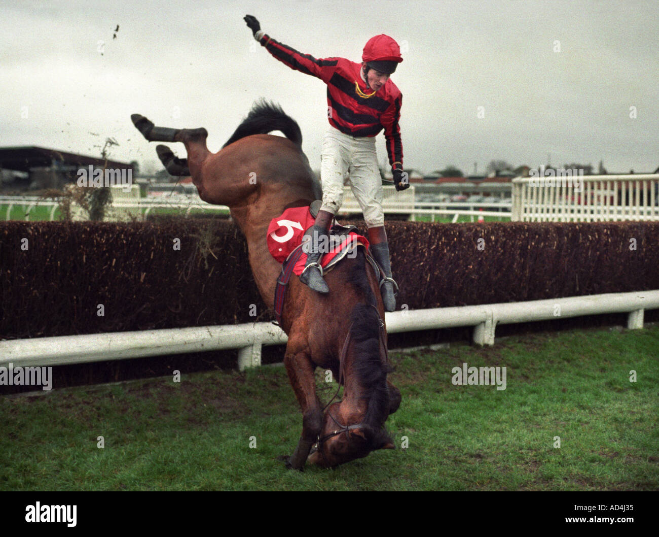 A HORSE FALLS DURING A NATIONAL HUNT RACE AT KEMPTON UK Stock Photo - Alamy