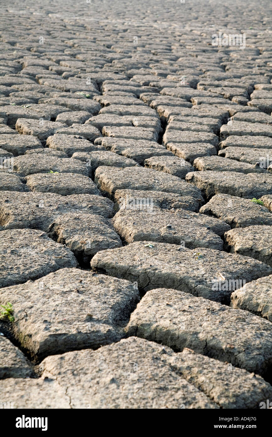 Detail of a rocky landscape Stock Photo - Alamy