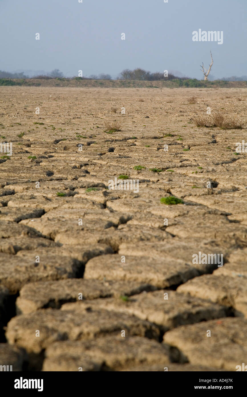 A barren landscape Stock Photo - Alamy