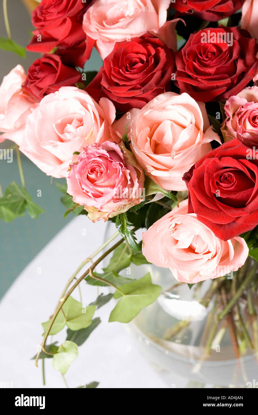 A bouquet of red and pink roses in a vase on a table Stock Photo - Alamy
