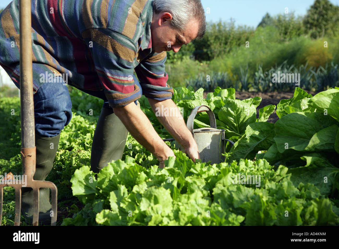 Worker on a field Stock Photo - Alamy