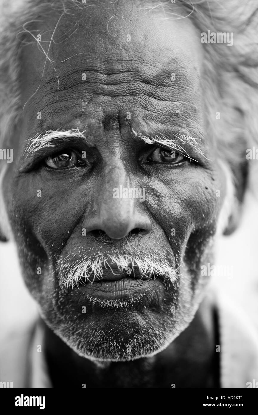 Environmental portrait of elderly Indian man Stock Photo - Alamy