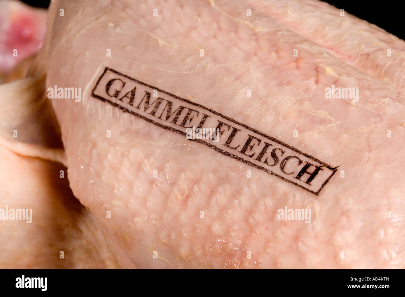 Rotten Meat High Resolution Stock Photography and Images - Alamy