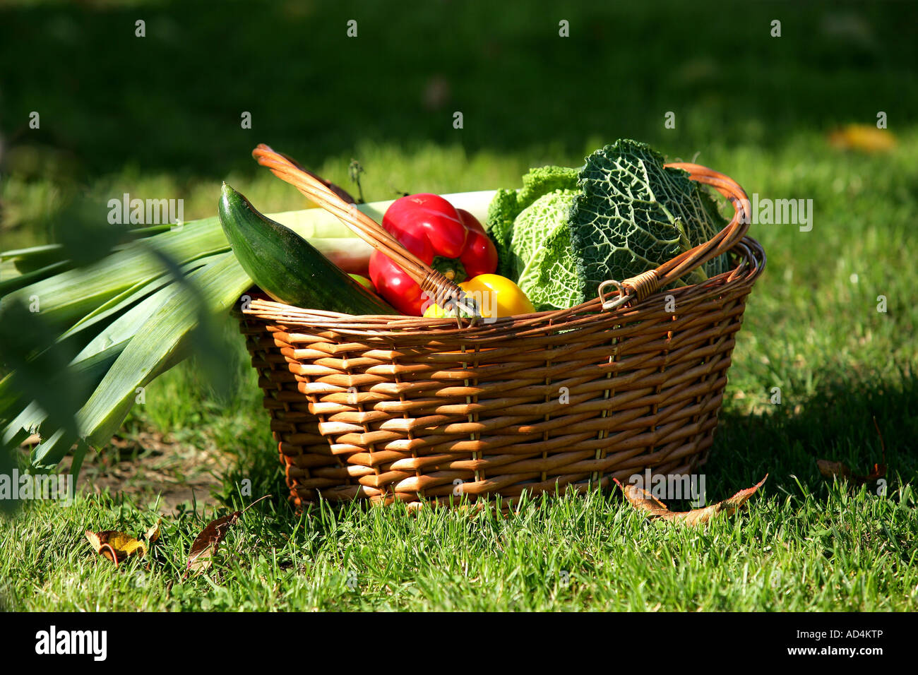 Basket of vegetables Stock Photo - Alamy
