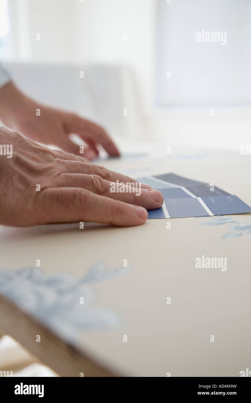 Comparing color samples to wallpaper Stock Photo - Alamy