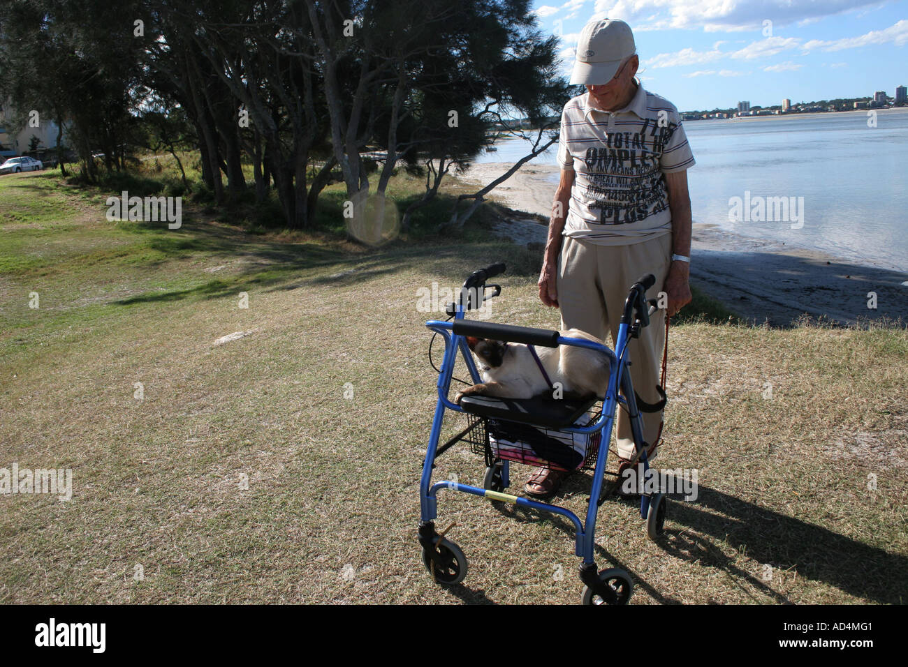 Cat walker hi-res stock photography and images - Alamy