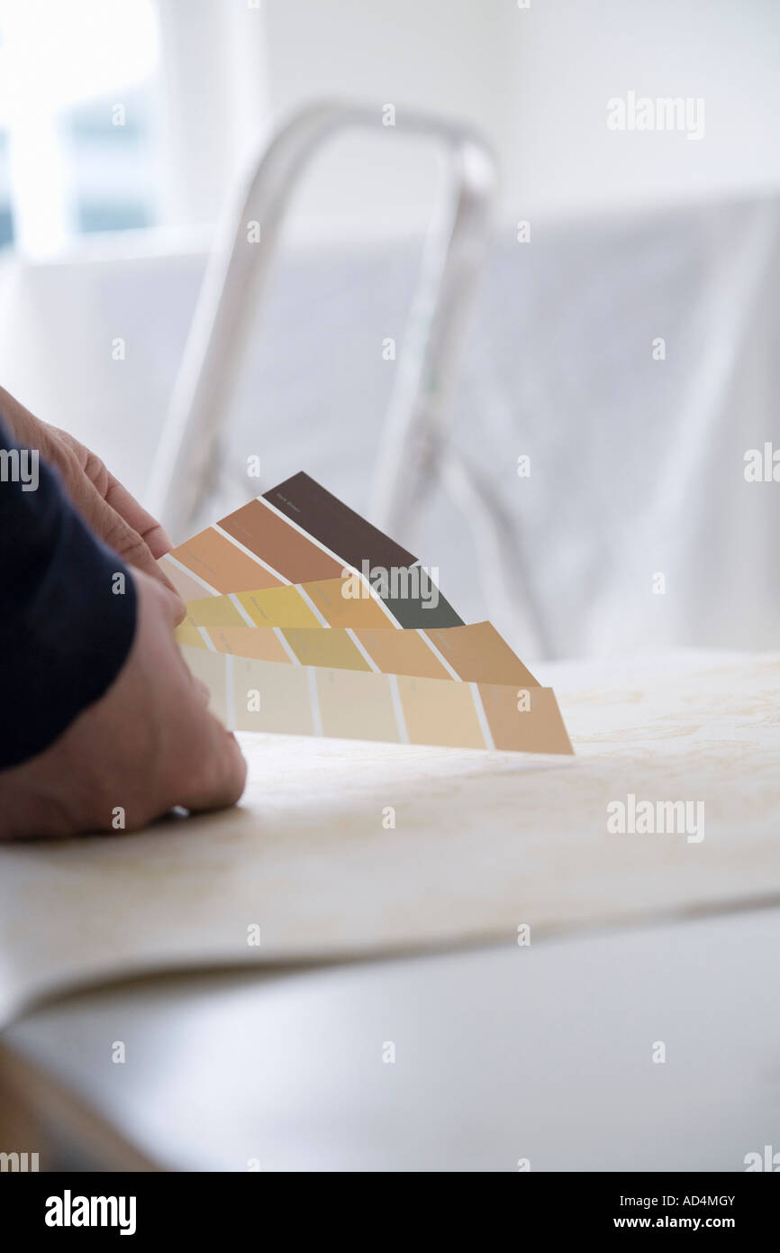 Comparing color samples to wallpaper Stock Photo - Alamy