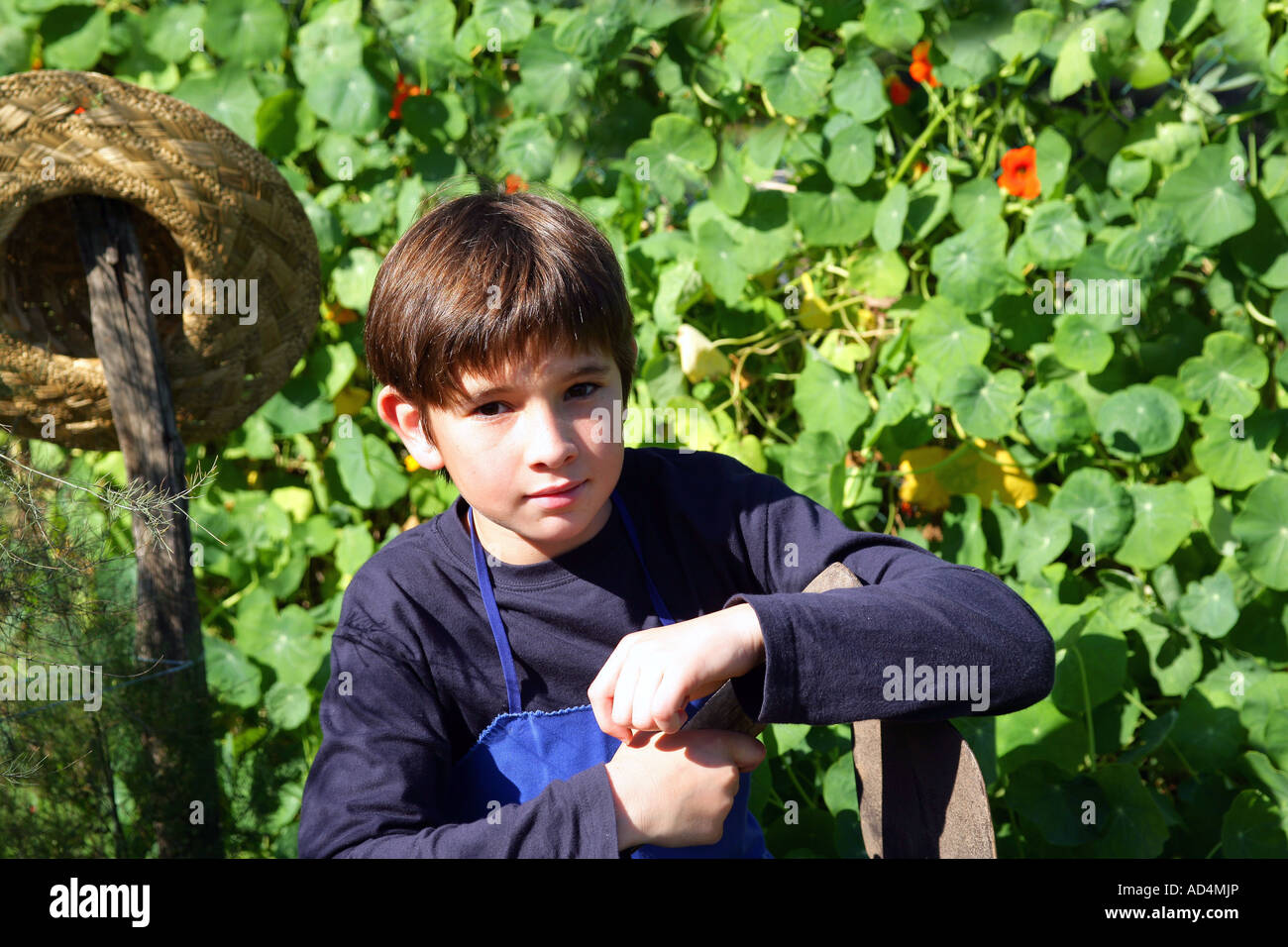 Boy in the countryside Stock Photo - Alamy