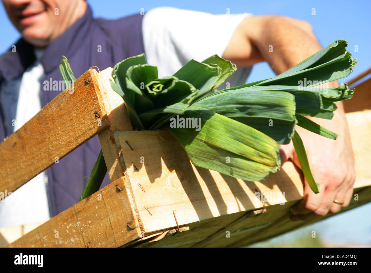Man carrying a crate Stock Photo - Alamy