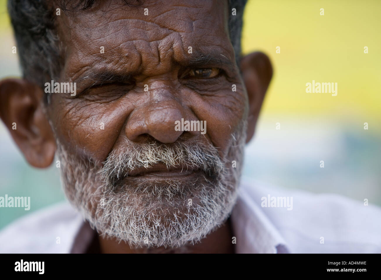 Environmental portrait of elderly Indian man Stock Photo - Alamy